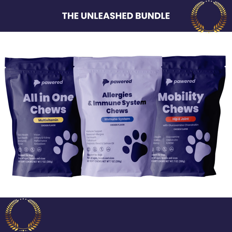 Pawered | Premium Dog Supplements